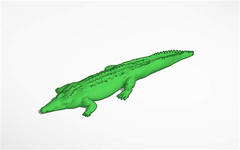 3d Design Crocodile Tinkercad