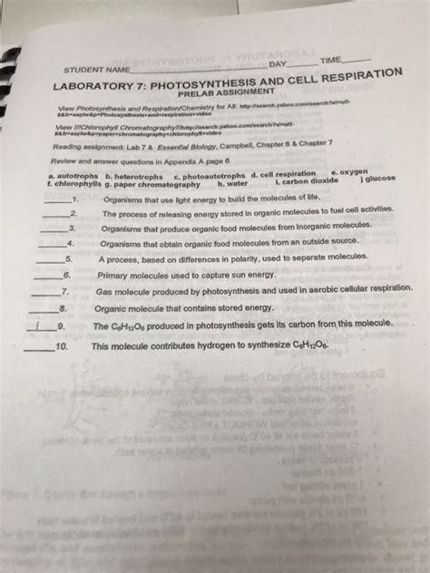 Solved DAY TIME Babe NAME LABORATORY 8 CELL DIVISION Chegg Com