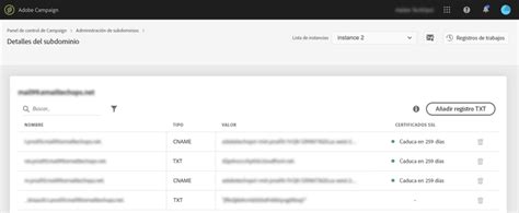 Supervisión De Los Certificados Ssl De Los Subdominios Adobe Campaign