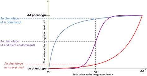 non linear relationships between integration levels and consequences on