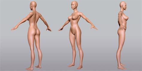 Male Female Topology UV Map Superhive Formerly Blender Market