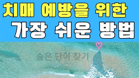 치매를 예방하는 가장 쉬운 방법 입니다 숨은단어찾기 치매 예방 퀴즈 두뇌운동 뇌건강 두뇌발달퀴즈 치매테스트