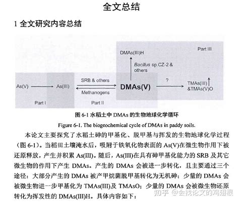 毕业论文结论与建议部分的结论该怎么写呀 知乎