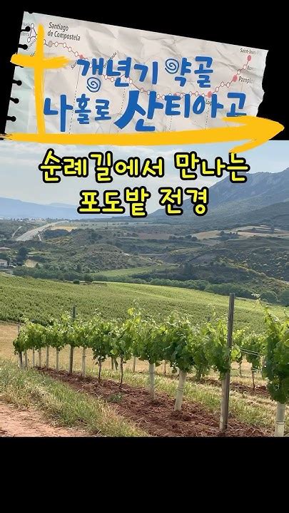 순례길에서 만나는 포도밭 전경 산티아고순례길 나홀로여행 갱년기여성 Youtube