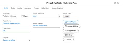 Custom Fields Timesite Pro