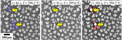 The Solidification Of Grain Refined Al 20wt Cu Sample The Locations Download Scientific