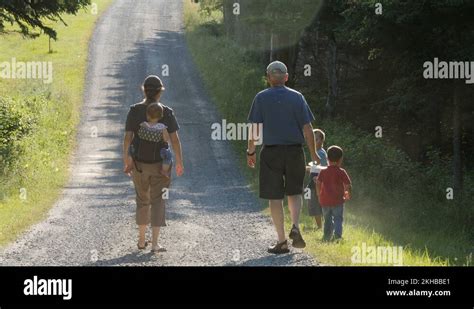 Cockapoo Beach Stock Videos And Footage Hd And 4k Video Clips Alamy