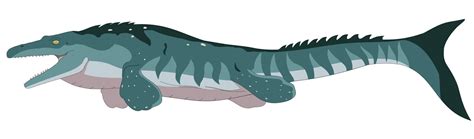 Mosasaurus By Sylveon2001 On Deviantart