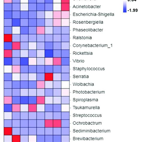 Kegg Pathway Analysis Of Megalurothrips Usitatus By Treatment