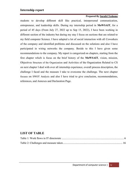 Computer Science Internship Report Docx