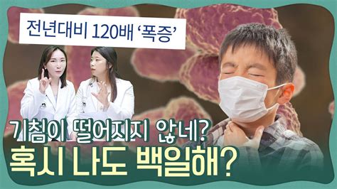 계속되는 기침 😷우리아이도 백일해 갑자기 폭증한 전염병 백일해 치료 및 격리 예방접종 Youtube