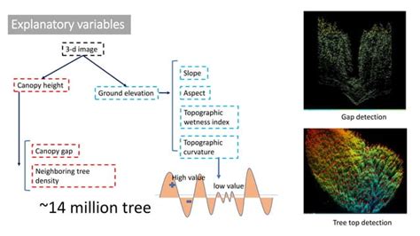 Application Of Airborne Lidar In Detecting Forest Structure Pptx