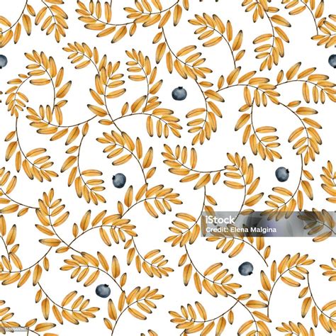 수채화 노란색 단풍과 파란색 열매는 흰색에 매끄러운 패턴입니다 가을 식물 배경은 직물과 직물을 위한 손으로 그린 식물 삽화를 가지고 있다 0명에 대한 스톡 벡터 아트 및
