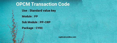 Opcm Sap Tcode For Standard Value Key