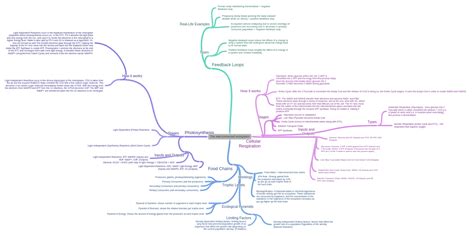 The Interconnected Ecosystem Coggle Diagram