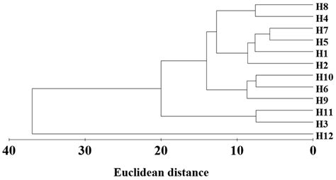 Clustering Of Sampling Habitats Based On The Euclidean Distance Download Scientific Diagram