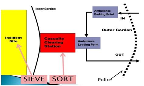 Crime Investigations 3 Flashcards Quizlet