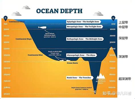 深海与浅海有何区别？ 知乎