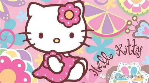 忆童年，这些经典的以猫为主要形象的动画片，你看过几部 知乎