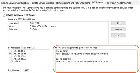 Peer To Peer File Transfer With Syncovery 11