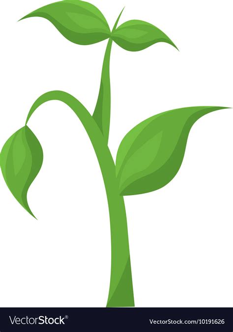 Plant Tree Growing Stem Icon Graphic Royalty Free Vector