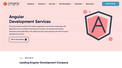 Explore Top 5 Angular Development Companies In Us 2024
