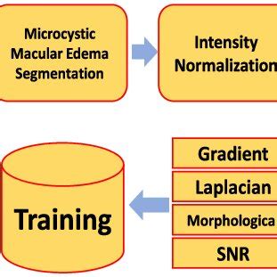 Flow Chart Of OCT Image Segmentation A Shows The OCT Image Download Scientific Diagram