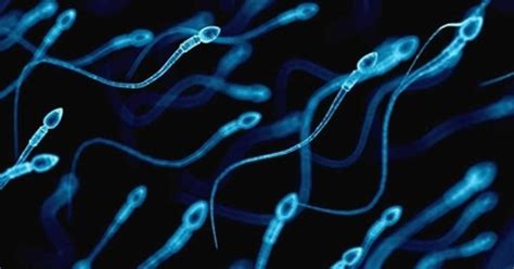 ‘난임부부 돕는 Ai…美 ‘무정자증 남편 정자 찾아내 18년만에 임신 성공