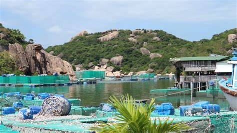 Cam Lap Hidden Paradise In Vietnam While You Stay Home