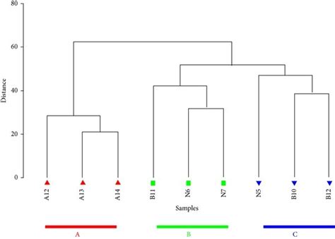 Dendrogram Of Each Station Centroid Based On The Species Abundance Data