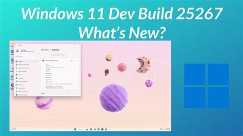 Windows 11 Dev Build 25267 Rounded Corners For Taskbar Search Fixes