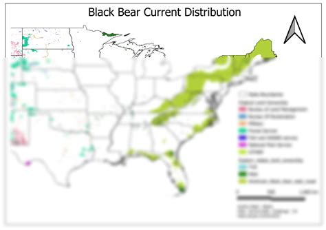 Solution Black Bear Distribution Map Of East Coast Of Usa Studypool
