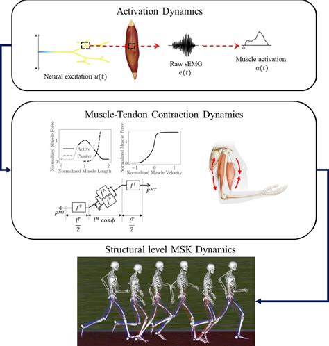 Figure From A Multi Resolution Physics Informed Recurrent Neural Network Formulation And