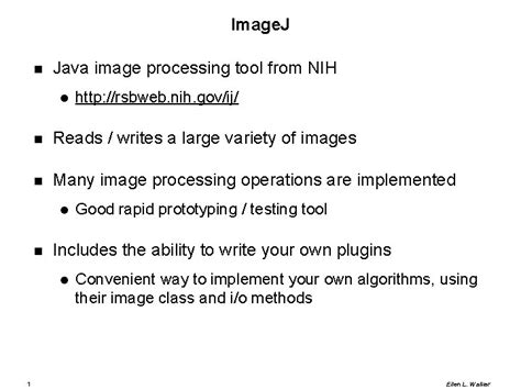 Image J Java Image Processing Tool From Nih