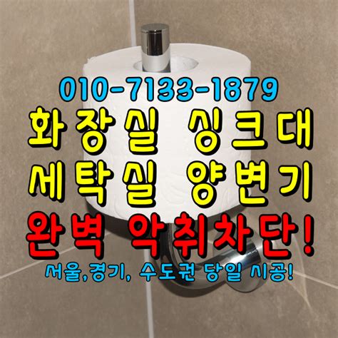 송파 화장실냄새 변기 하수구 냄새 소변기 싱크대 세탁실 욕조 배수구 악취 벌레 제거 트랩 설치 업체 네이버 블로그