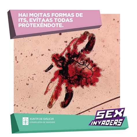 Sex Invaders Ademais De Virus E Bacterias Existen