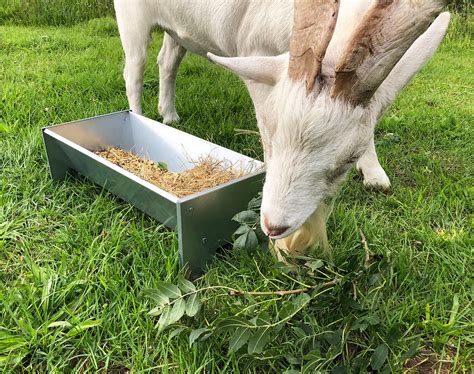 Cattle Grain Trough 16ft Big Beefa Concrete Cattle Trough Conron