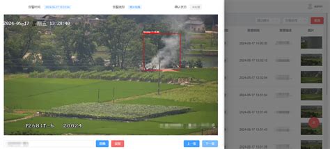 视频智能分析平台liteaiserver烟火识别软件预警火灾算法检测