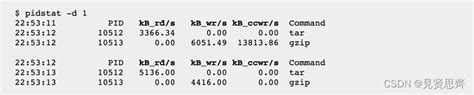 Linux系统cpu和磁盘性能进程分析工具pidstatlinux有没有什么磁盘分析工具 Csdn博客