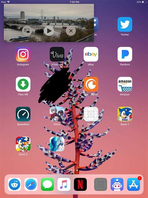 Did Anyone Elses Tinder Update On Ipad Do This To The Icon I Tried