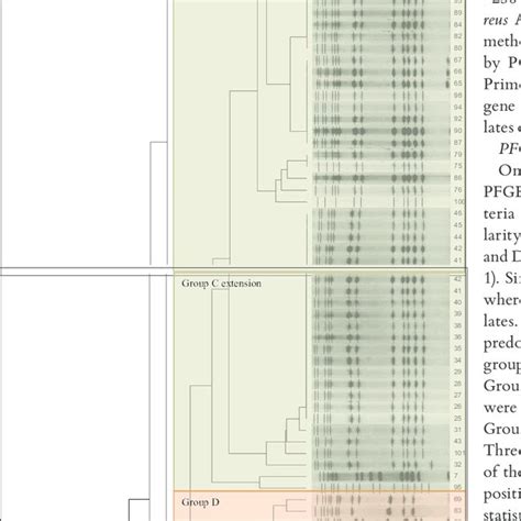 Pfge Dendrogram Of Methicillin Resistant Staphylococcus Aureus Isolates