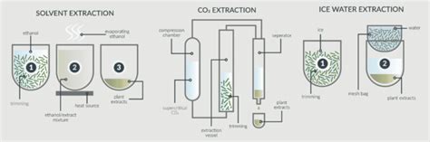 Tetrahydrocannabinol Properties Reactions And Applications Safrole