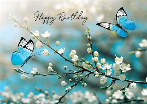 Happy Birthday Butterfly