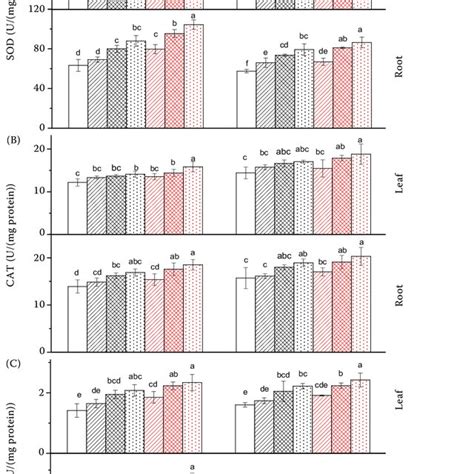 Effects Of Biochar Bc And Fe Mn Impregnated Biochar Fm On Enzyme Effects Of Biochar Bc And Fe Mn Impregnated Biochar Fm On Enzyme