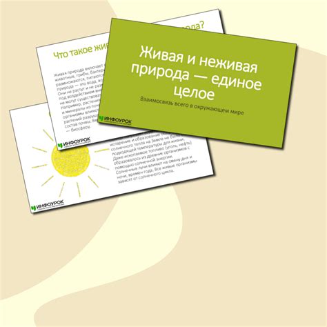 Презентация по биологии Живая и неживая природа — единое целое 5 класс