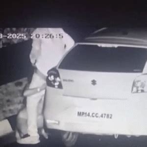 Bjp Leader Manohar Lal Dhakad Sex Video With Woman Sparks Outrage Online