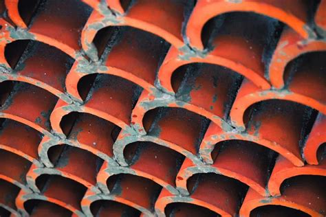 Biodegradability Examples Of Biodegradable Products Evidence Network