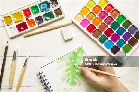 몬스터 나뭇잎의 아쿠아렐 그림을 스케치하는 암컷 손 수채화 페인트와 브러쉬 상단보기 창조적 인 예술 플랫 레이 개념에 대한 스톡 사진 및 기타 이미지 Istock