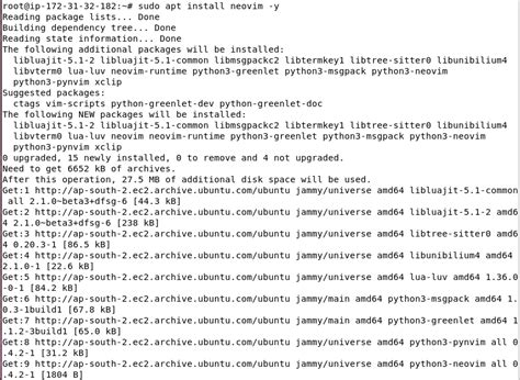 how to install neovim on ubuntu 22 04