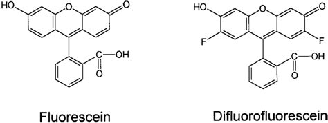 Chemical Structures Of Fluorescein And Difluorofluorescein Download